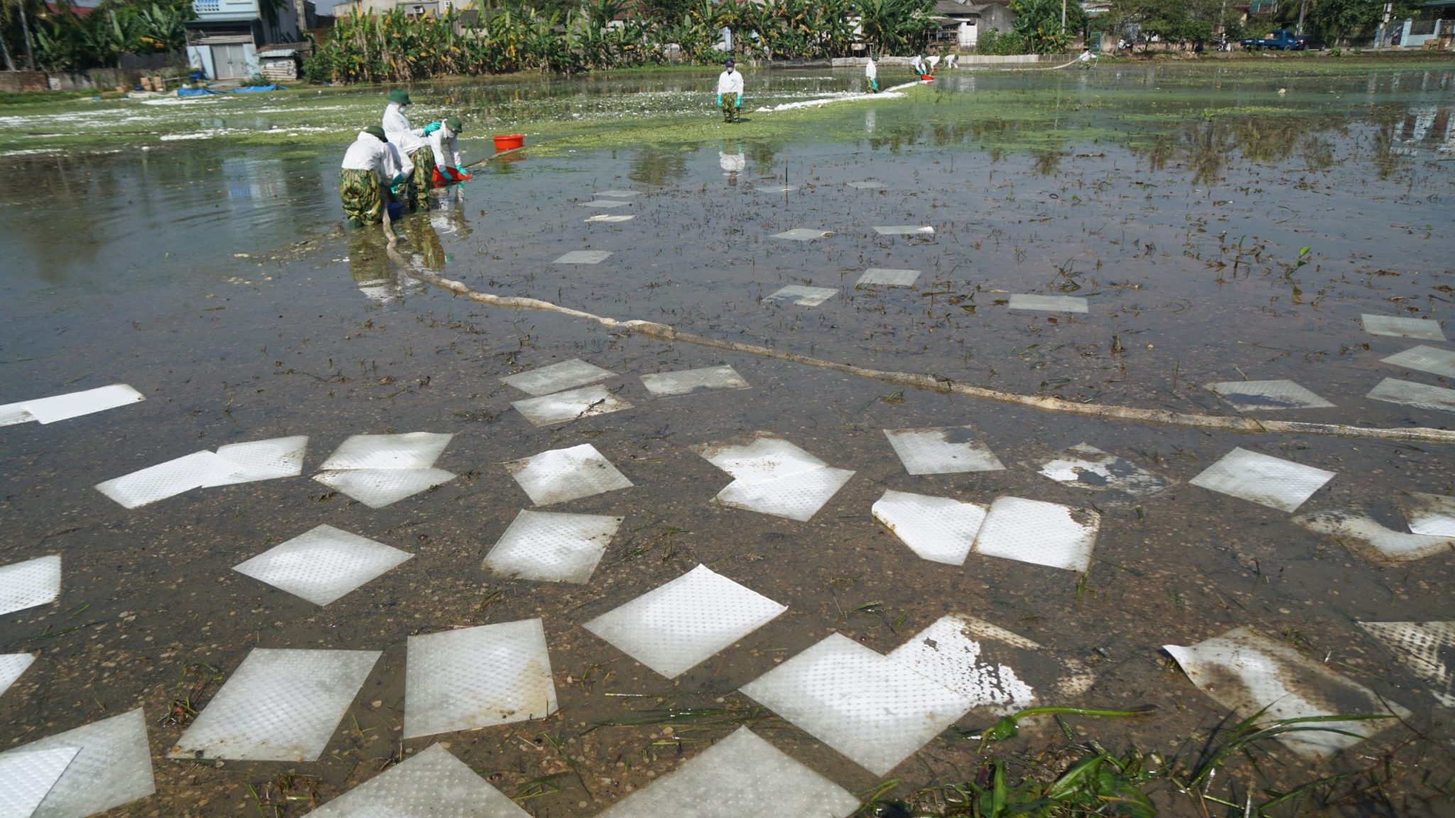 Oil Absorbent Pad N-Fiber Bignanotech: Nano Technology Solution ...